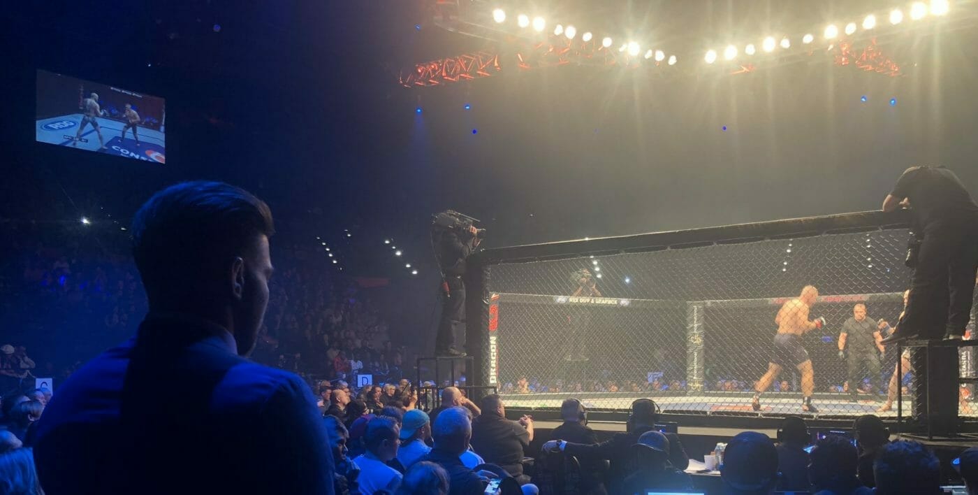 Showmax adds more sport, including ICC World Cup Final and EFC