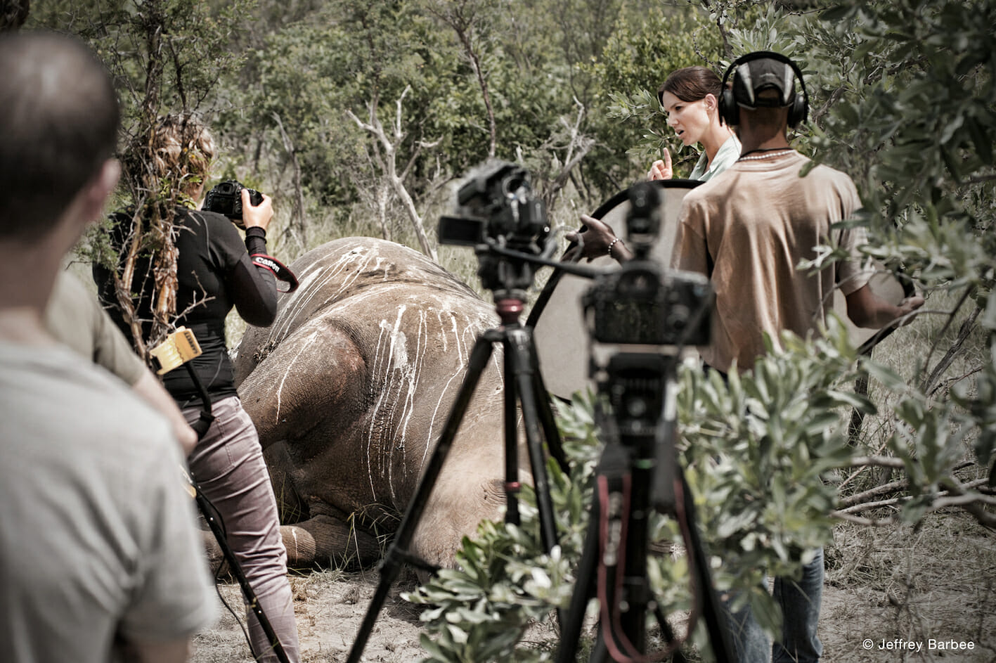 Award-winning rhino documentary coming to Showmax